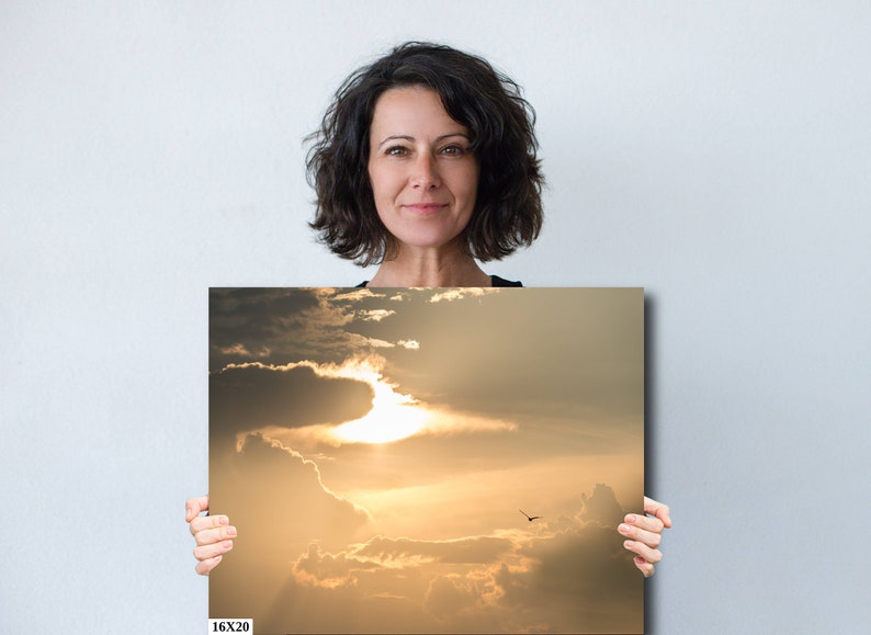 Photograph of Lone Bird Flying Through Golden Cloudscape at Sunset Over ...