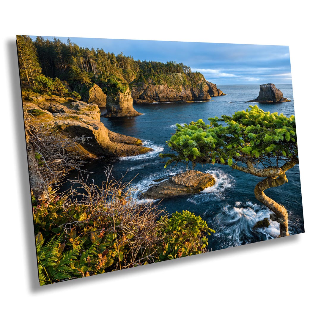 Photograph of Rugged Cape Flattery Coast and Seastacks, Weathered Tree ...