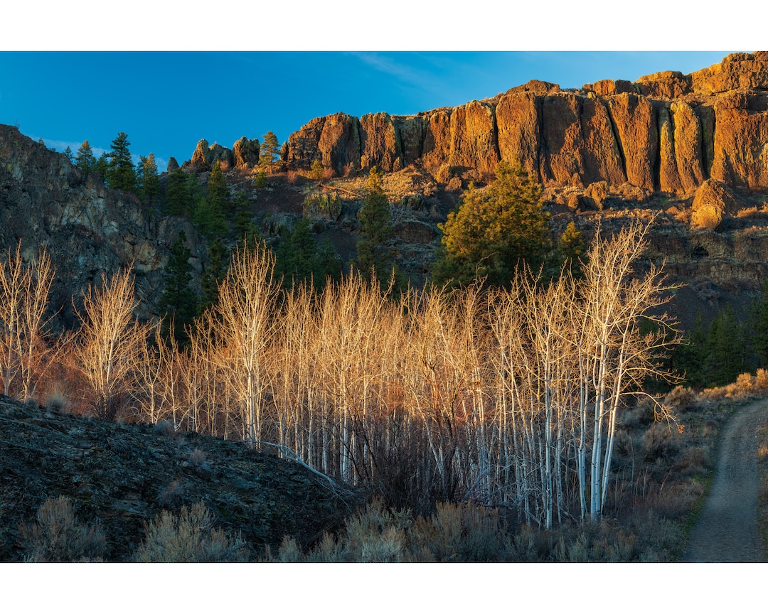 Landscape Photograph of Sunset Light on Trees and Cliffs of Northrup ...