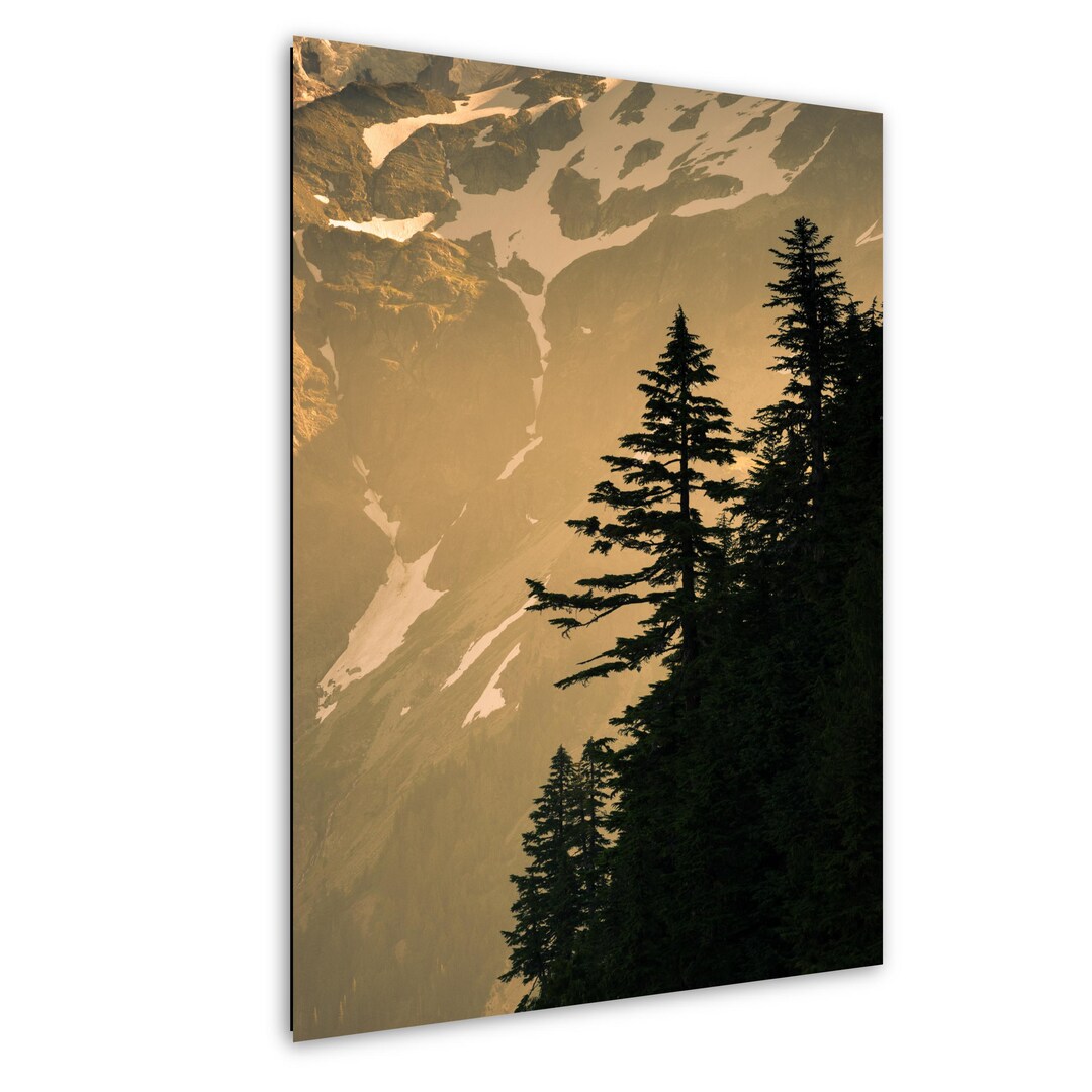 Photograph of Tree Silhouettes Against Massive Mt Rainier Backdrop at ...