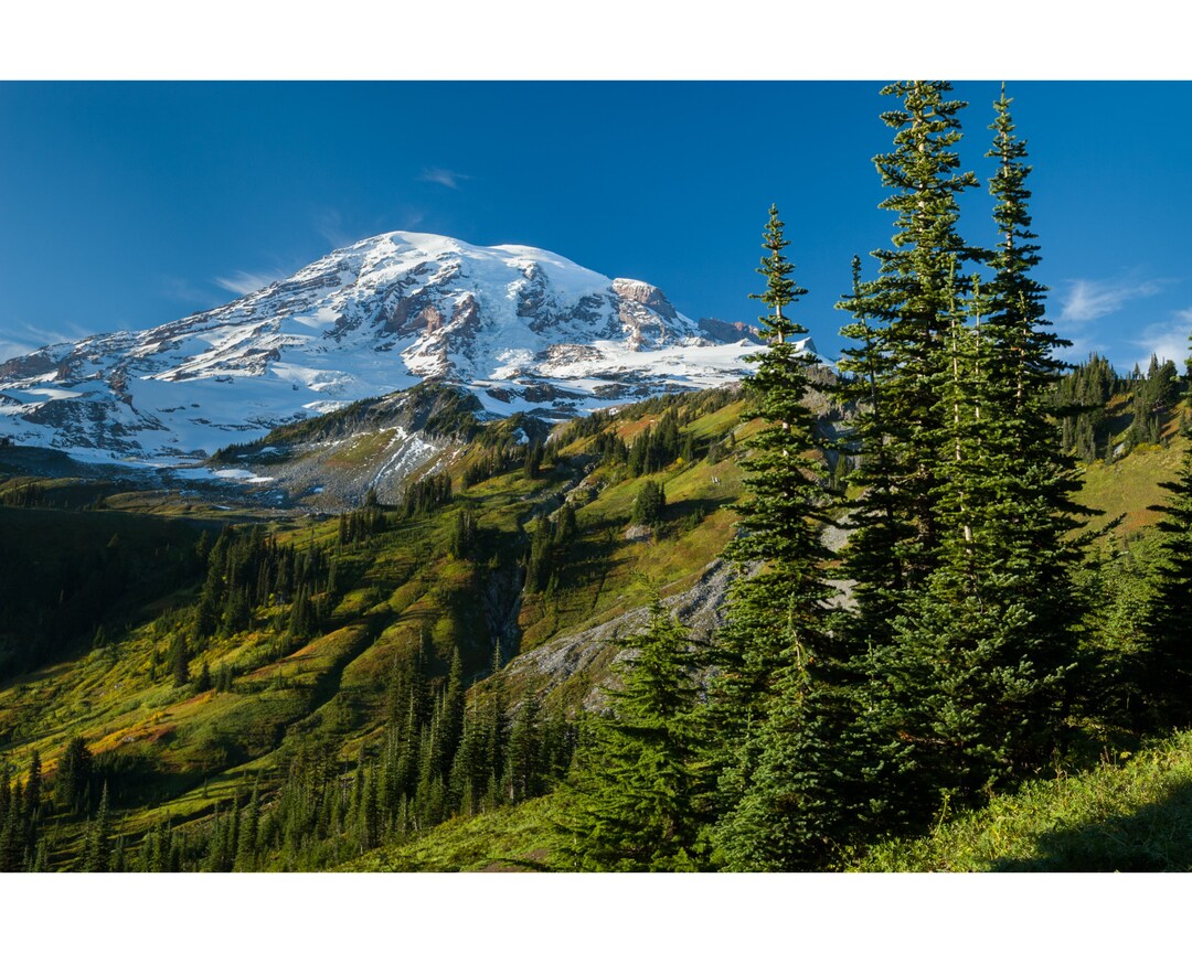 Photograph of Paradise Valley and Snow Covered Mt Rainier in Late ...