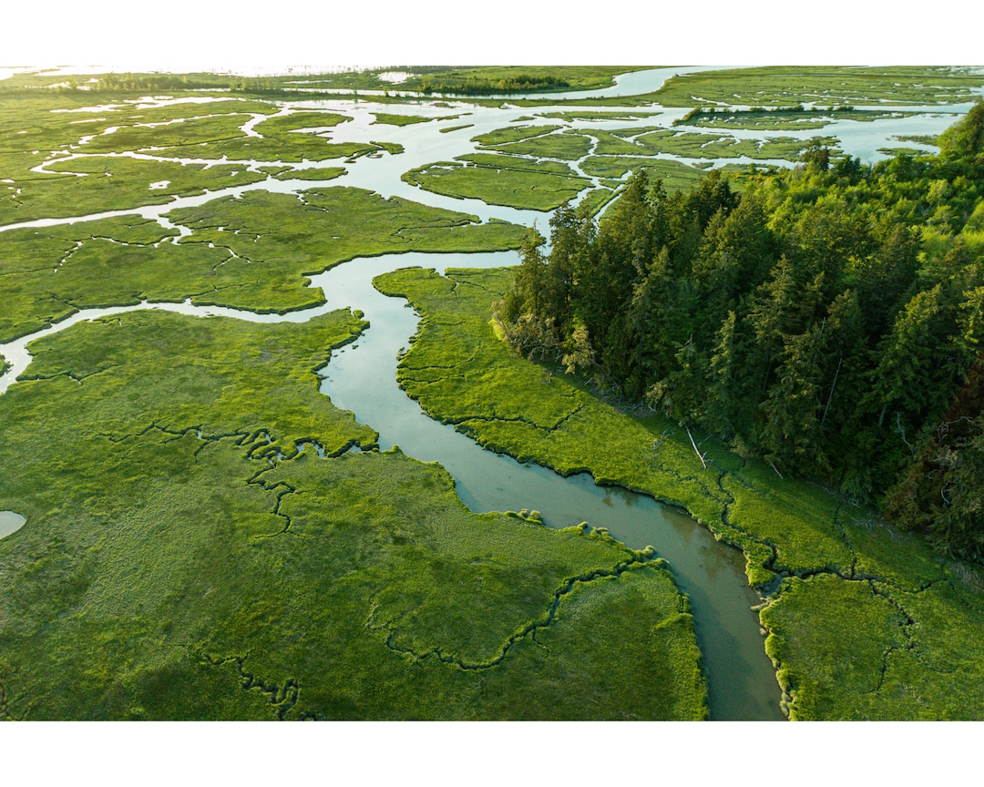 Aerial Photograph of Lush Nisqually River Delta Estuary on South Puget ...