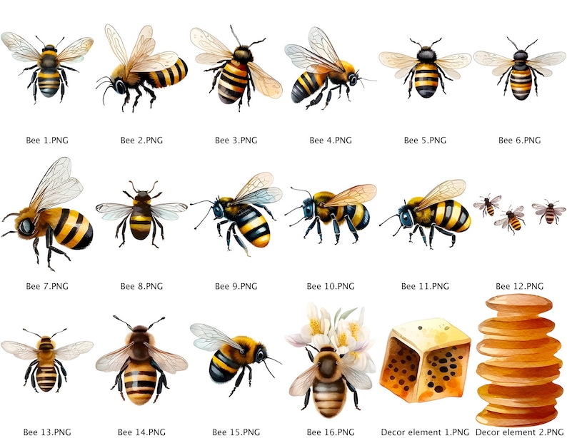 Watercolor Honey Bee Clipart, Spring Garden Bee and Honey Drips Clip ...