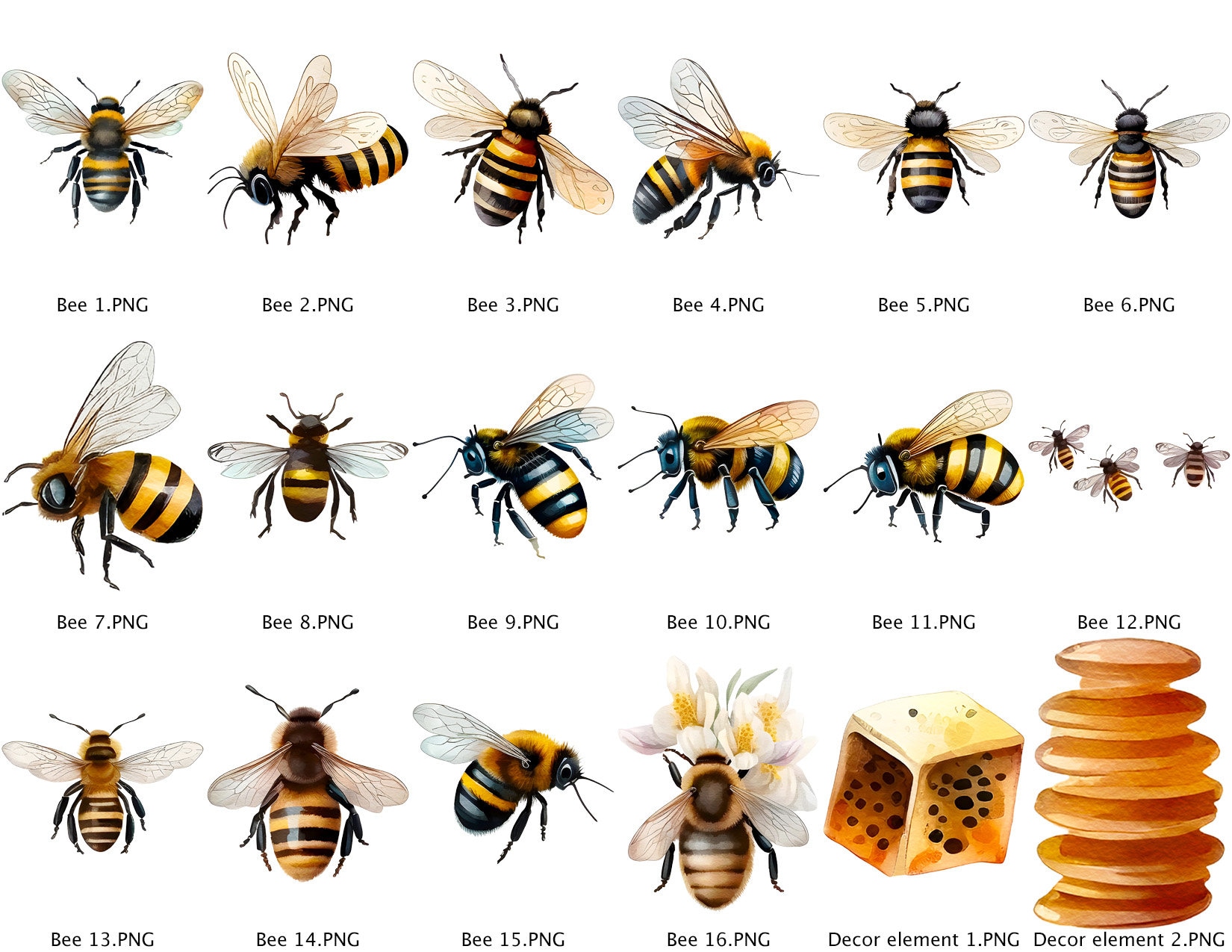 Watercolor Honey Bee Clipart, Spring Garden Bee and Honey Drips Clip ...