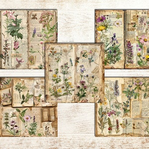 Vintage Herbs Digital Paper: Botanical Scrapbook Kit (digital Download ...