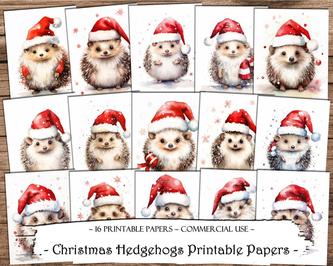 Christmas Hedgehog Papers: Printable Scrapbook Kit (digital Download ...