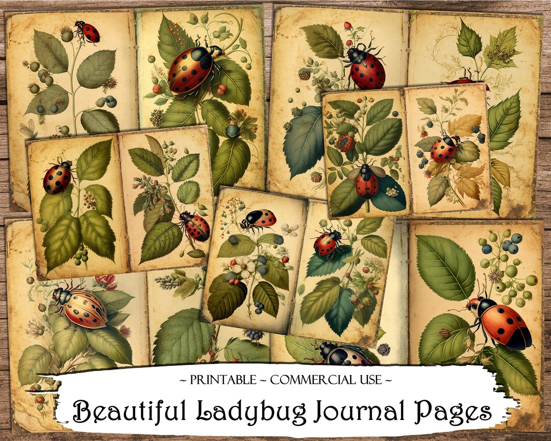 Beautiful Ladybug Journal Pages, Junk Journal Kit, Journaling Supplies ...
