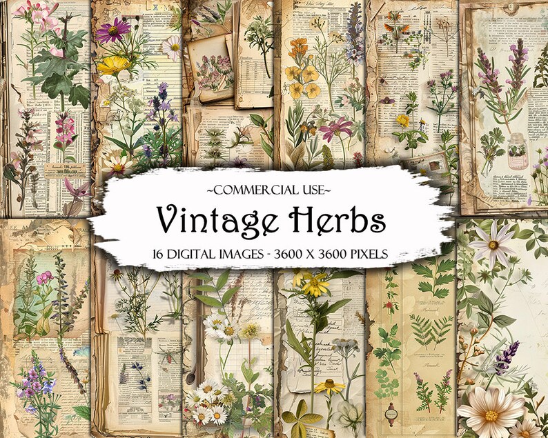 Vintage Herbs Digital Paper: Botanical Scrapbook Kit (digital Download ...