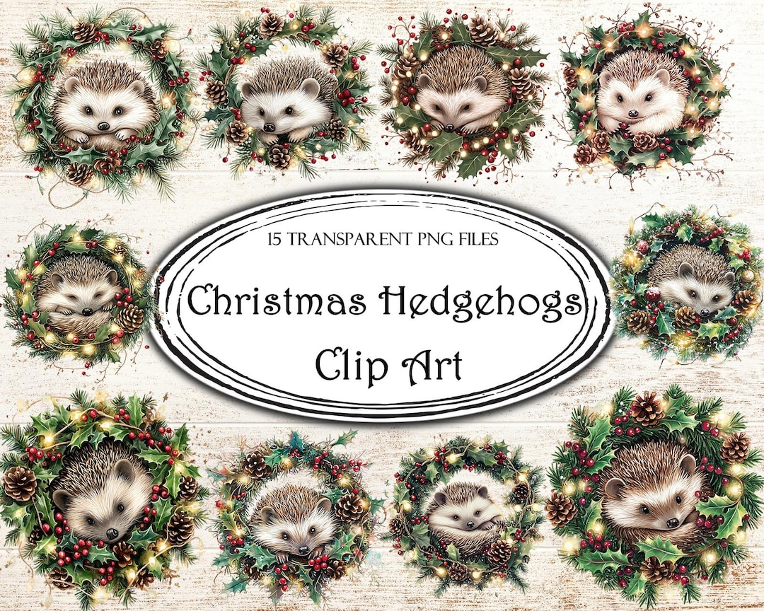 Christmas Hedgehogs Clip Art, PNG Files, PNG Transparent, Clipart ...