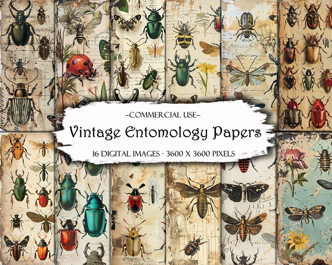 Vintage Entomology Papers, Digital Papers, Printable Papers, Junk ...