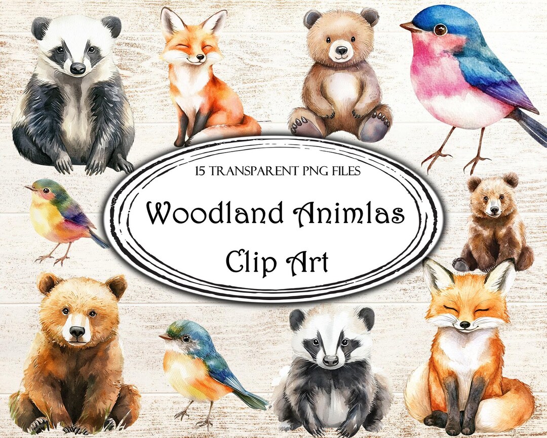 Woodland Animals Clip Art, PNG Files, PNG Transparent, Clipart Graphics ...