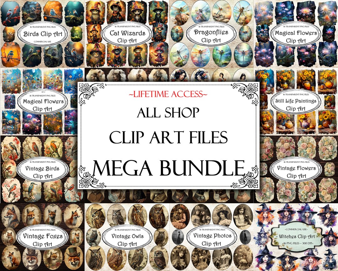 WHOLE SHOP Clip Art Files, PNG Files, Transparent Files, Clipart ...