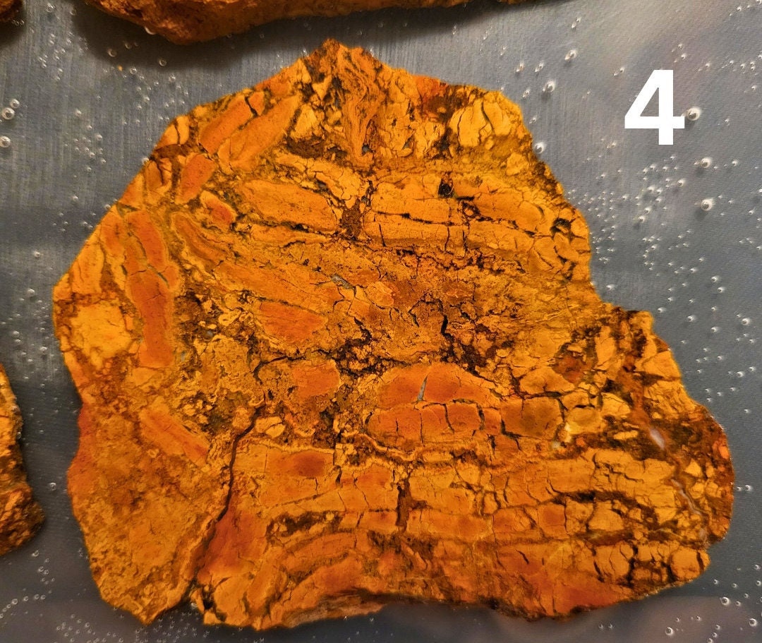 Lavic Siding Jasper Slabs, Slabs, South Cady Slabs, Lapidary, Cabochons ...