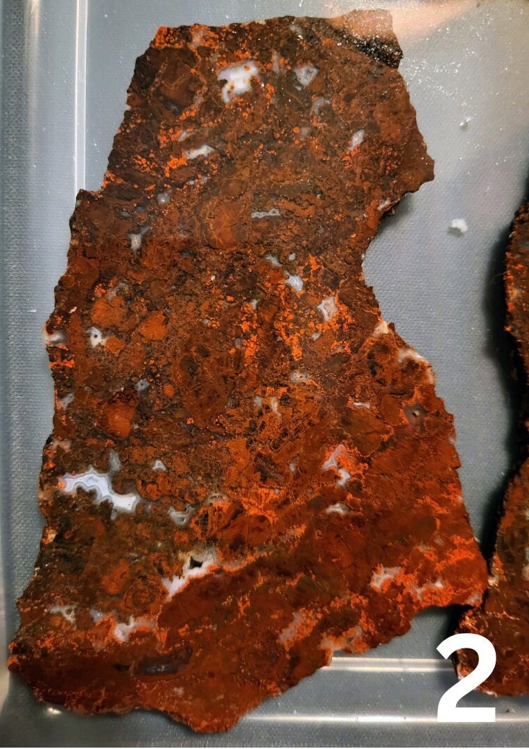 Red Dot Bot & Beef Breccia Agate Slabs cady Mountain - Etsy
