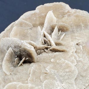 Desert Sand Rose Specimen | Selenite Specimen, Translucent Mineral ...