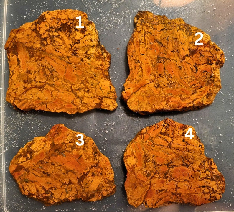 Lavic Siding Jasper Slabs, Slabs, South Cady Slabs, Lapidary, Cabochons ...