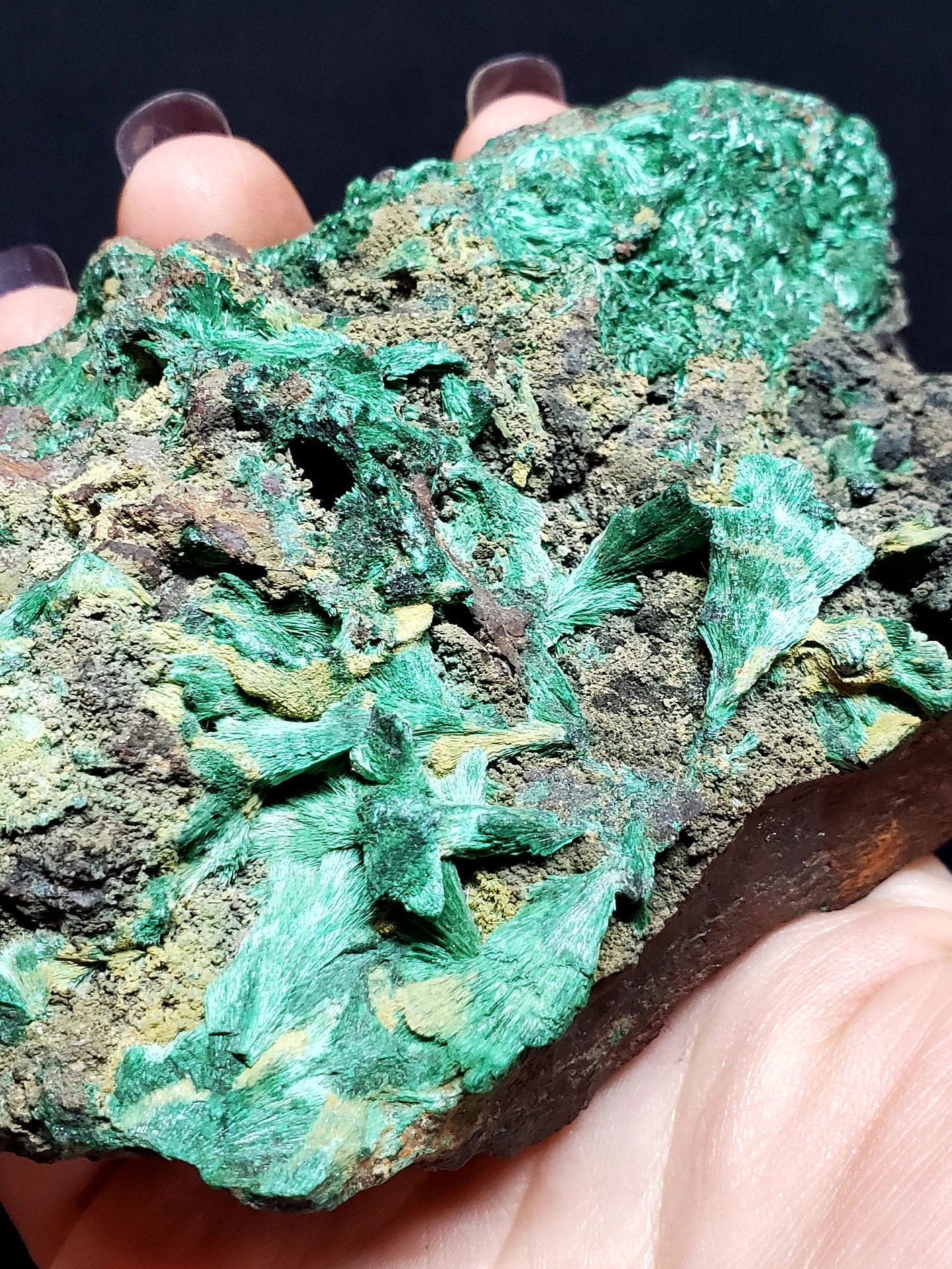 Bisbee Arizona Fibrous Malachite Specimen, Fibrous Malachite, Display ...