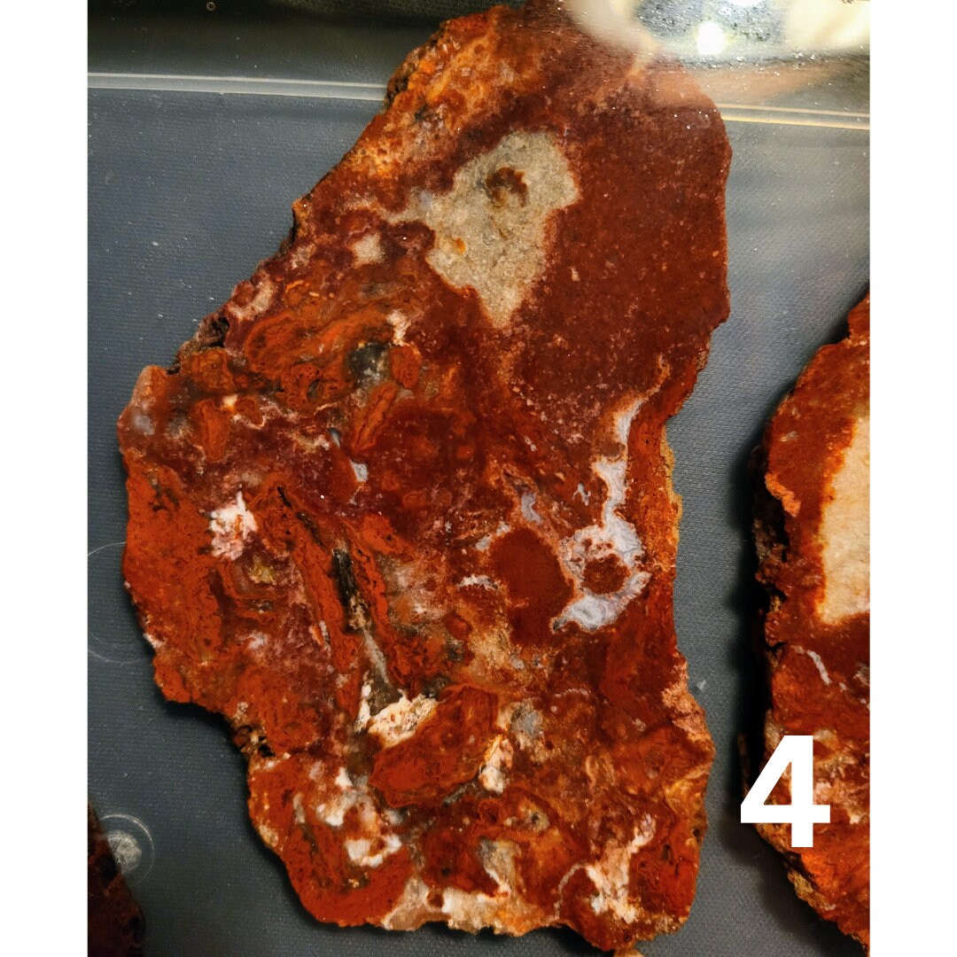 Red Dot Bot & Beef Breccia Agate Slabs (cady Mountain) - Etsy