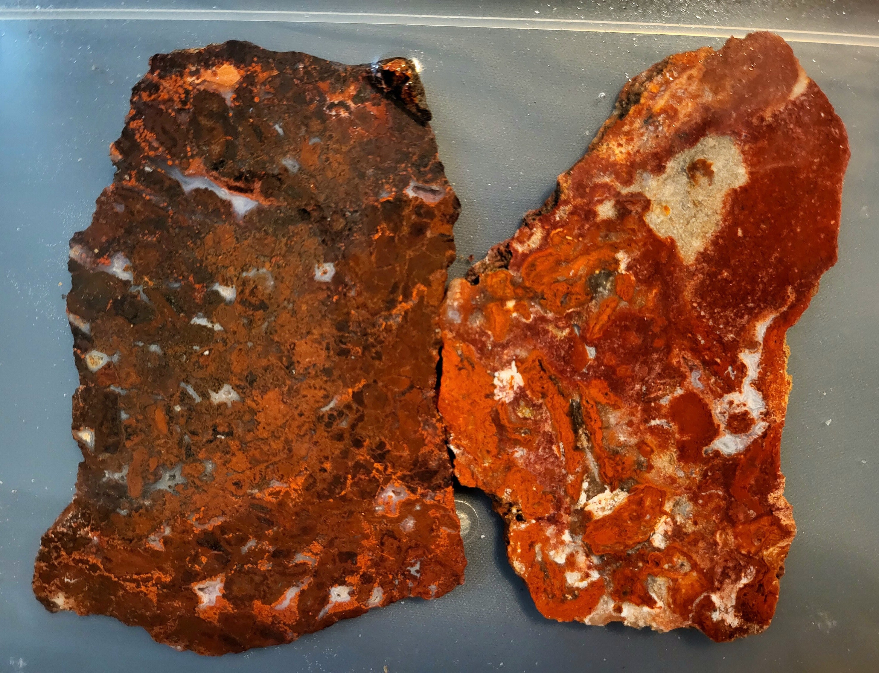 Red Dot Bot & Beef Breccia Agate Slabs (cady Mountain) - Etsy