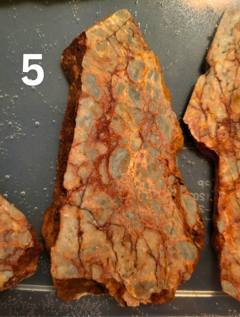 Reggae Rock Slabs, Leopard Latite Slabs, South Cady Slabs, Slabs ...