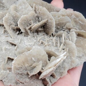 Desert Sand Rose Specimen | Selenite Specimen, Translucent Mineral ...