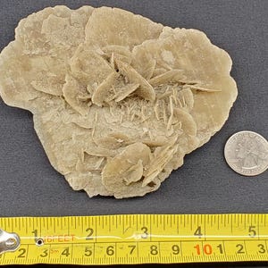 Desert Sand Rose Specimen | Selenite Specimen, Translucent Mineral ...