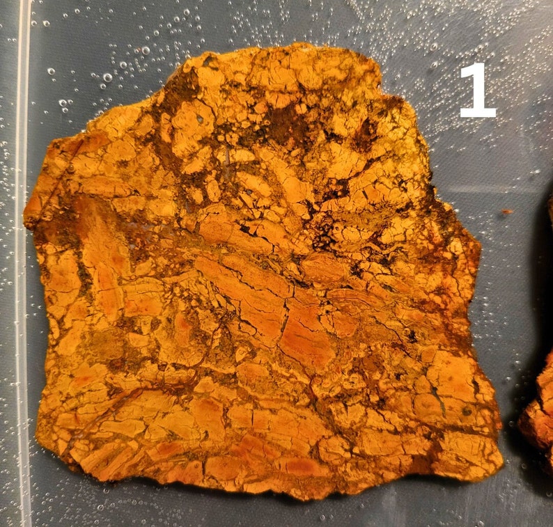 Lavic Siding Jasper Slabs Slabs South Cady Slabs Lapidary - Etsy