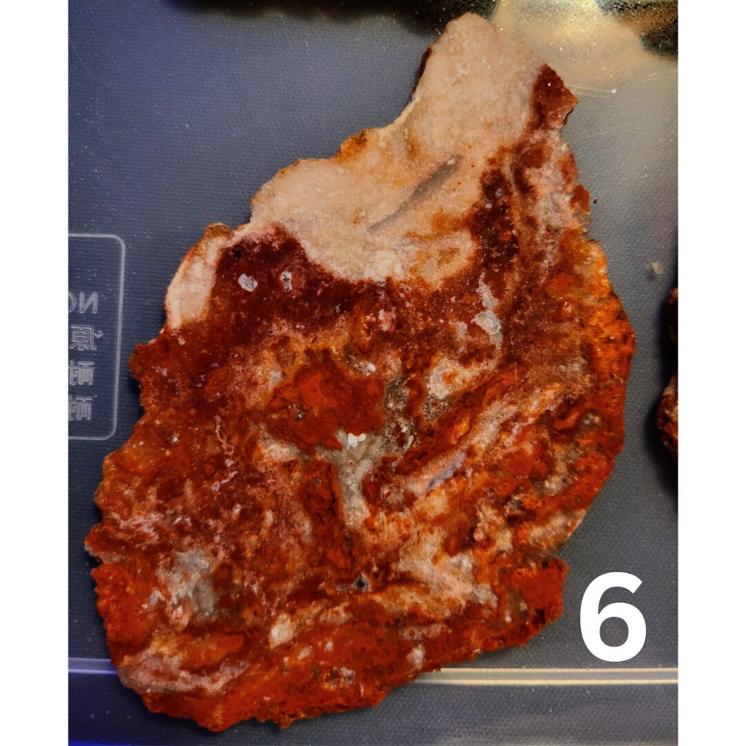 Red Dot Bot & Beef Breccia Agate Slabs (cady Mountain) - Etsy