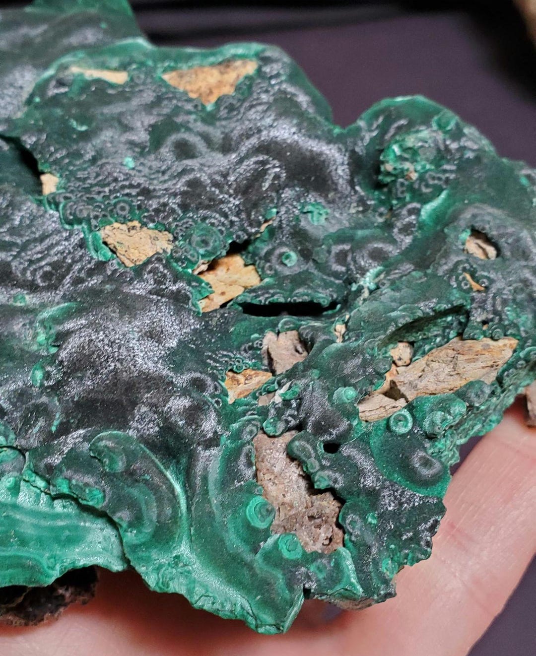Museum Grade Velvet Malachite From the Congo | Botryoidal Eye Formation ...