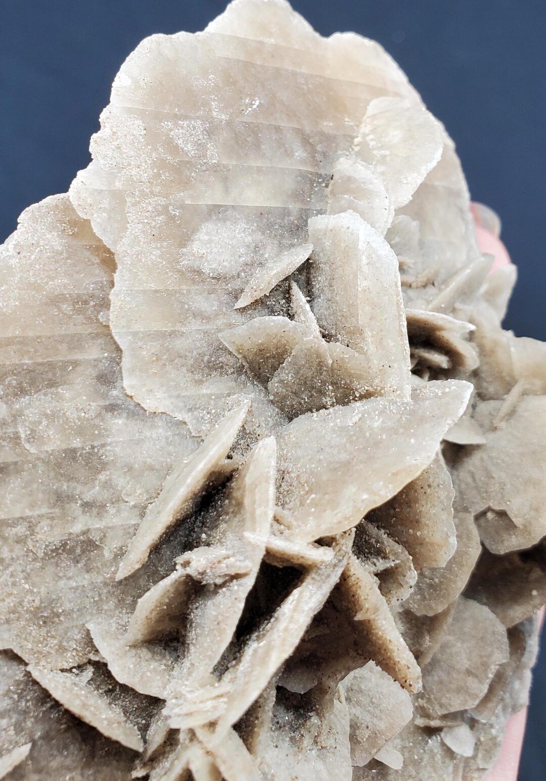 Desert Sand Rose Specimen | Selenite Specimen, Translucent Mineral ...