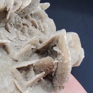 Desert Sand Rose Specimen | Selenite Specimen, Translucent Mineral ...
