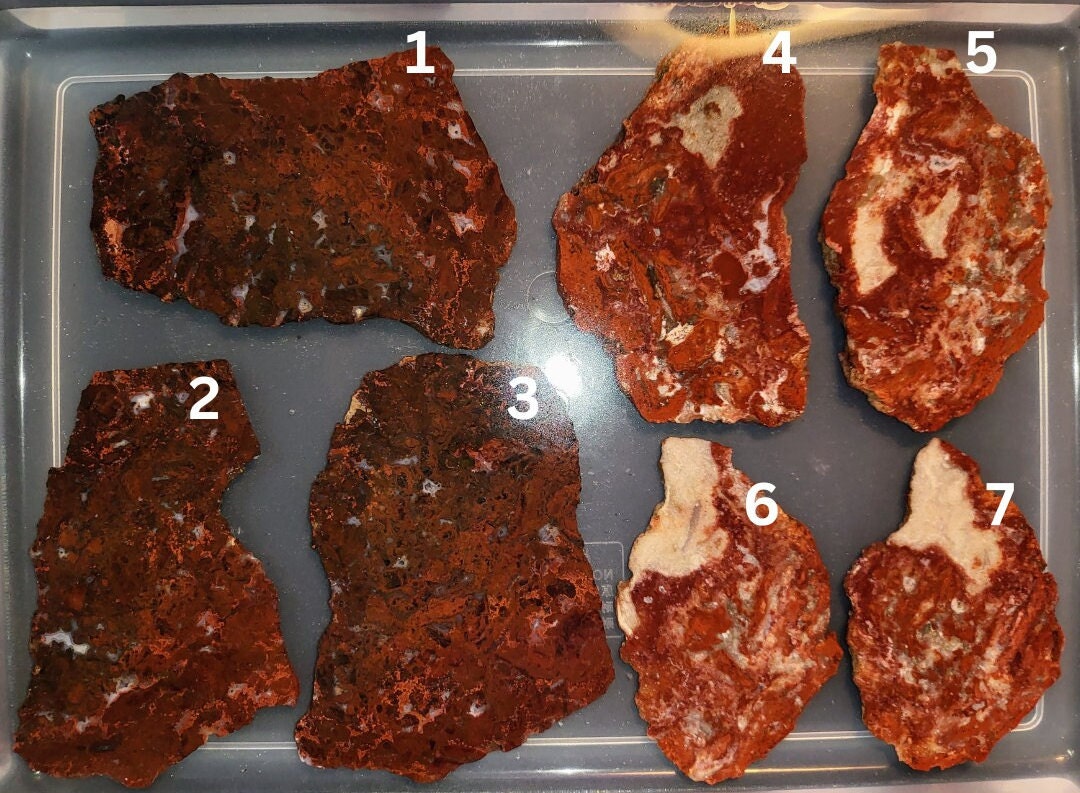 Red Dot Bot & Beef Breccia Agate Slabs cady Mountain - Etsy