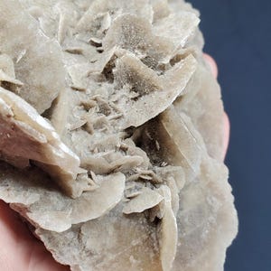 Desert Sand Rose Specimen | Selenite Specimen, Translucent Mineral ...