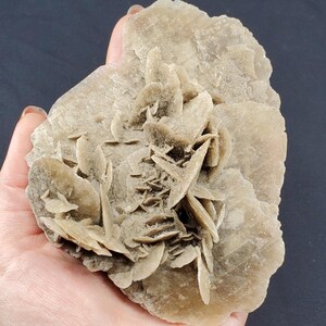 Desert Sand Rose Specimen | Selenite Specimen, Translucent Mineral ...
