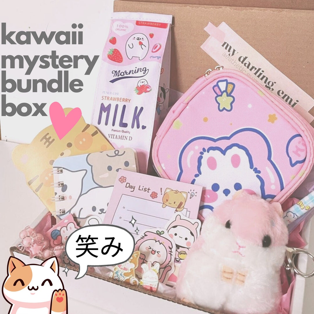Kawaii Pinterest Life surprise Bundle Box - Etsy
