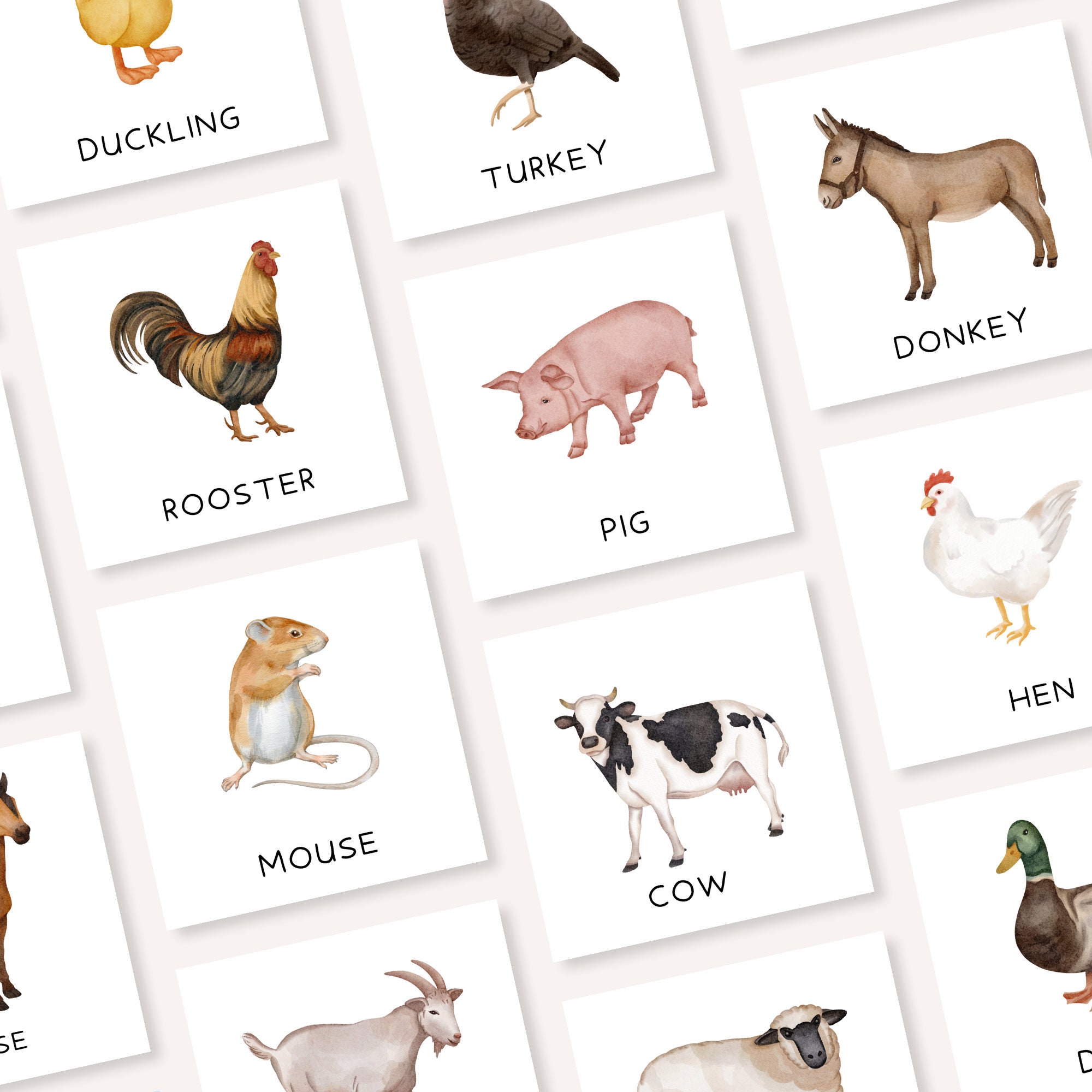 20 Farm Animals Flashcards, Montessori Cards, Flash Cards, Learning ...