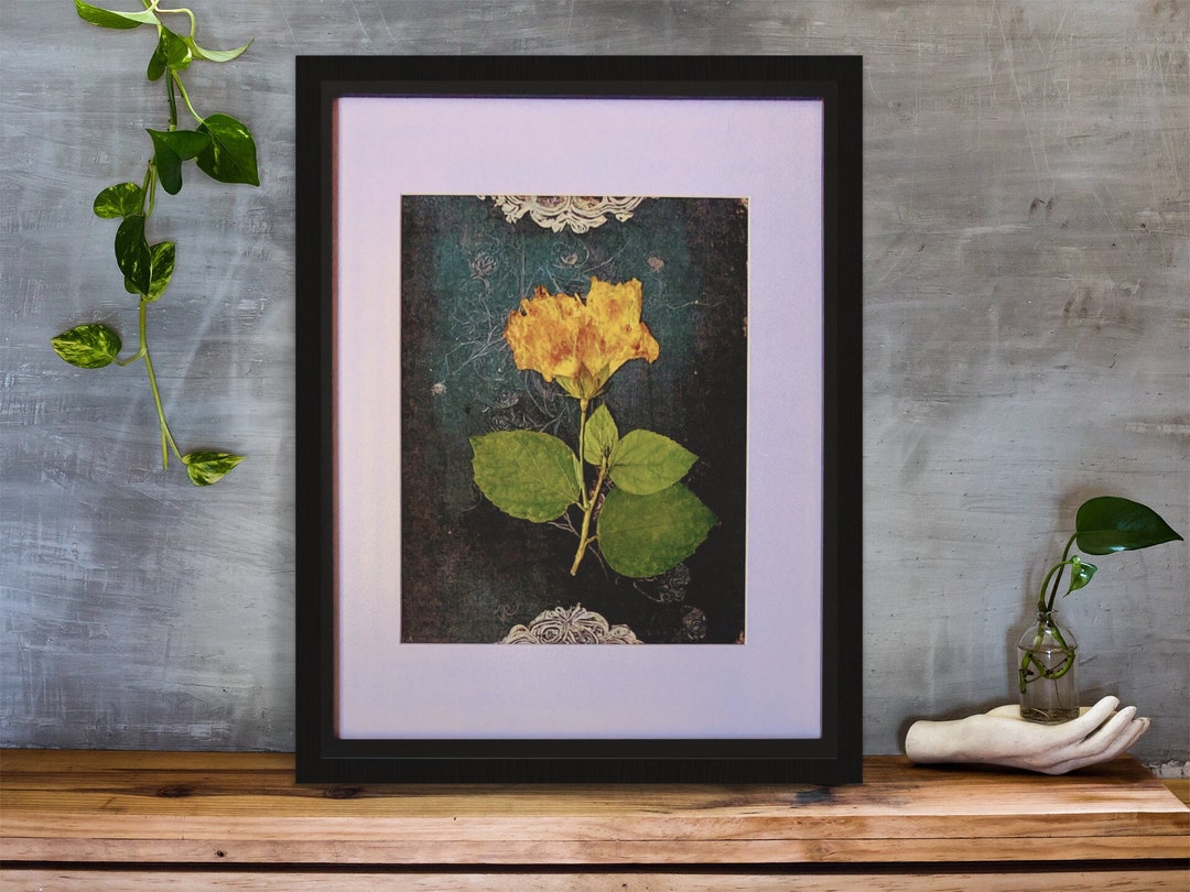 Real Pressed Hibiscus Flower, Pressed Flower Frame, Oshibana, Dark Mori ...