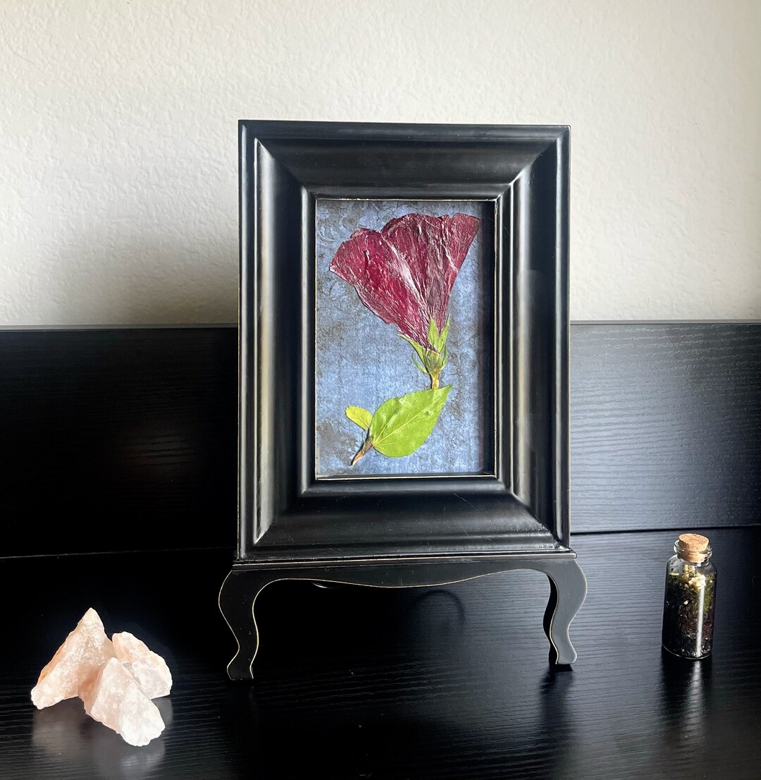 Real Pressed Hibiscus, Pressed Flower Frame, Oshibana, Wabi Sabi ...