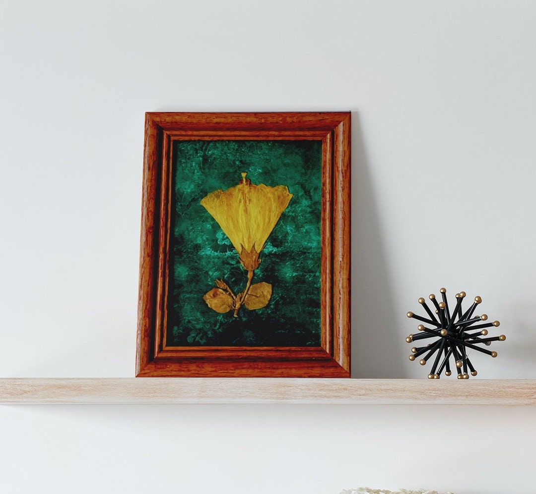Real Pressed Sea Hibiscus Flower, Pressed Flower Frame, Oshibana ...