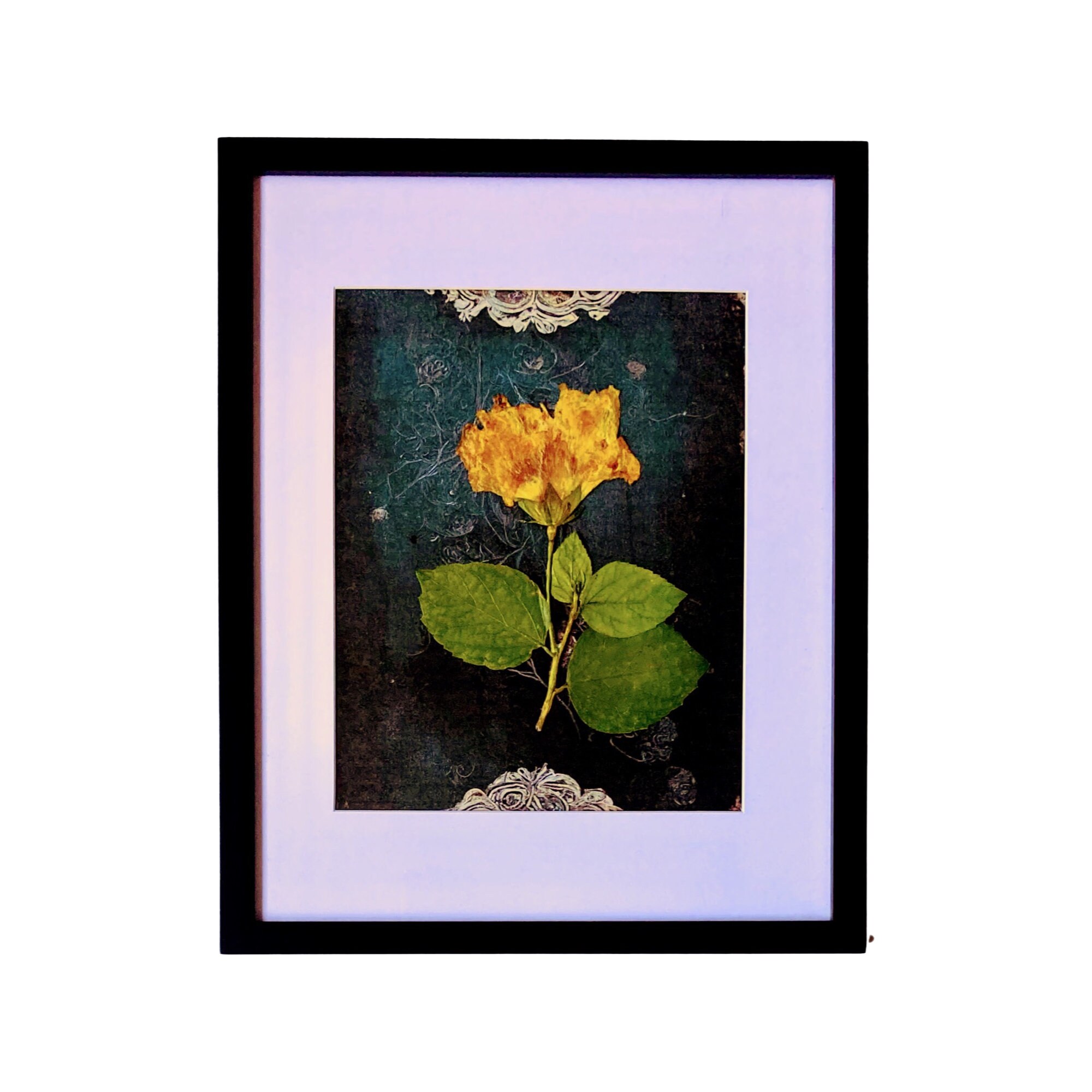 Real Pressed Hibiscus Flower, Pressed Flower Frame, Oshibana, Dark Mori ...