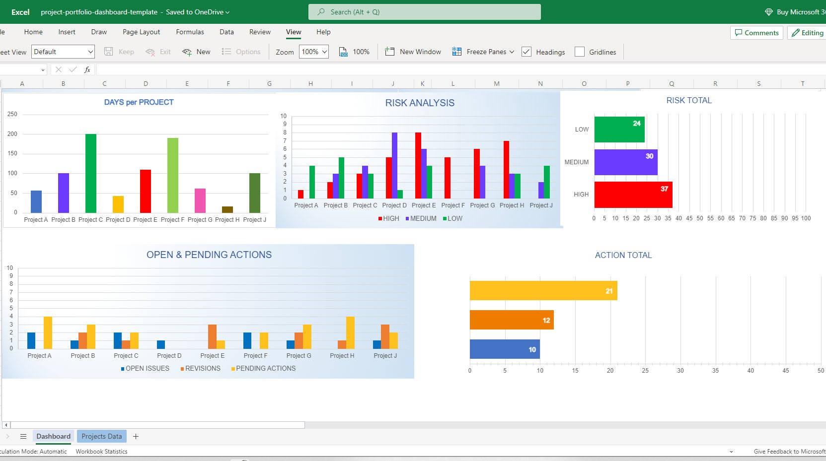 Project Portfolio Dashboard Template Excel Spreadsheet - Etsy Canada