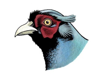 Jim Hansel Spooked Pheasant Farm Art Print 29 X 19 - Etsy