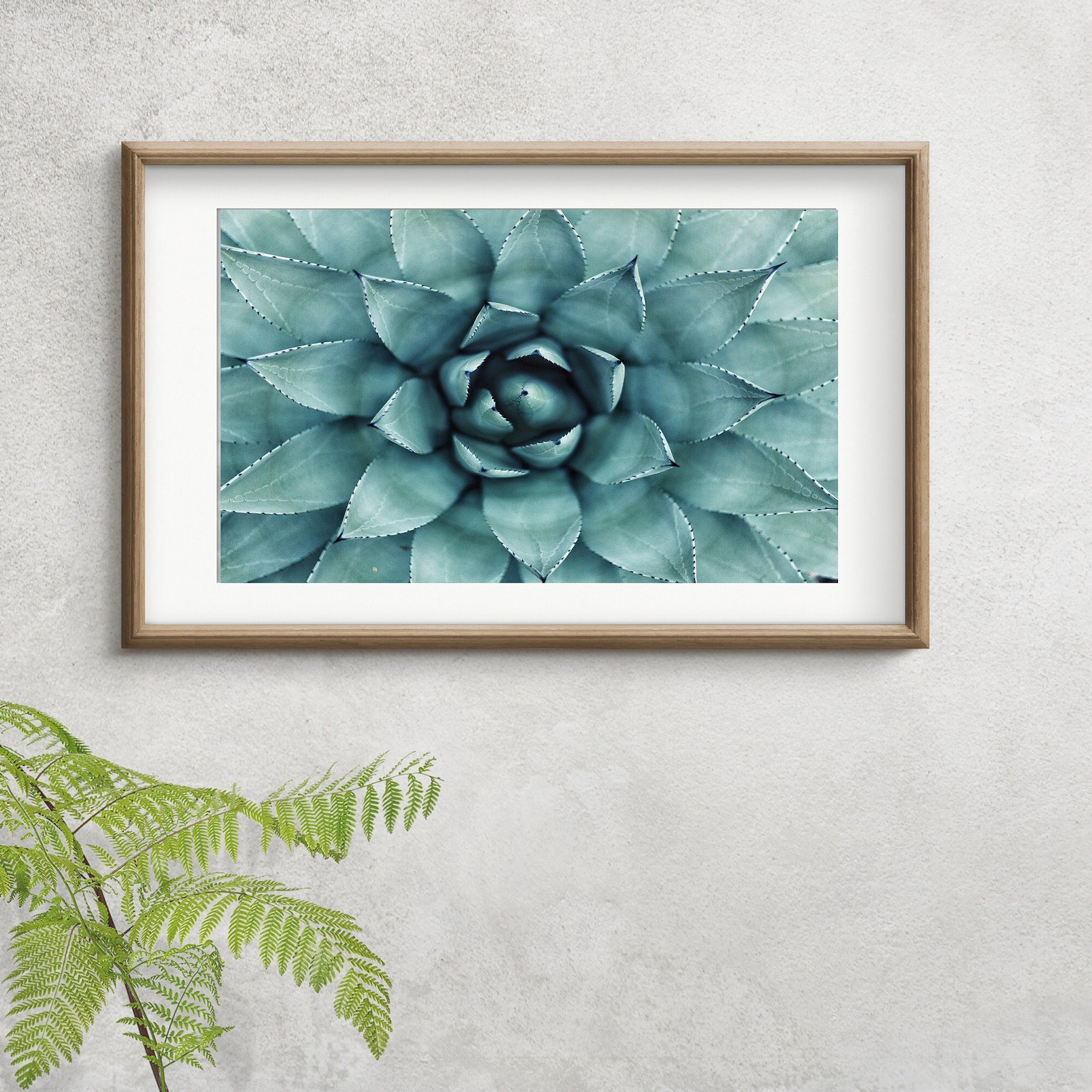 Succulent Print Botanical Artwork Digital Download Wall Decor - Etsy