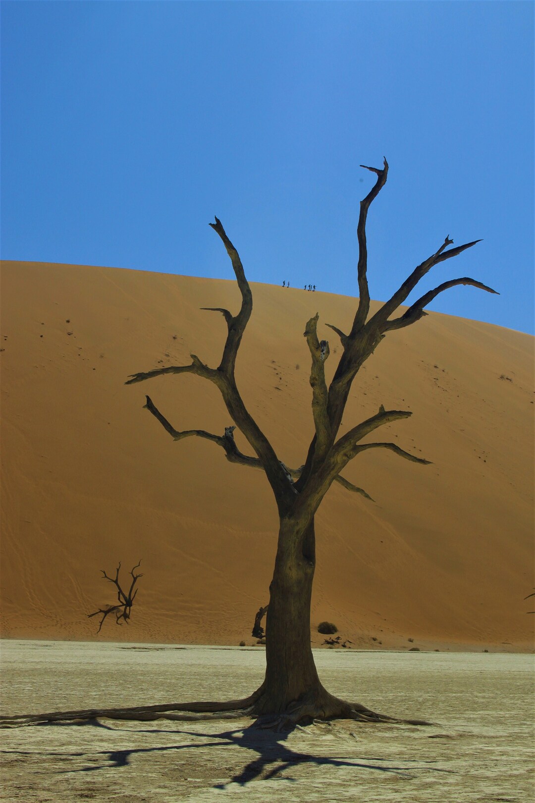 Namibia Sossusvlei Deadvlei Landscape Photography - Etsy