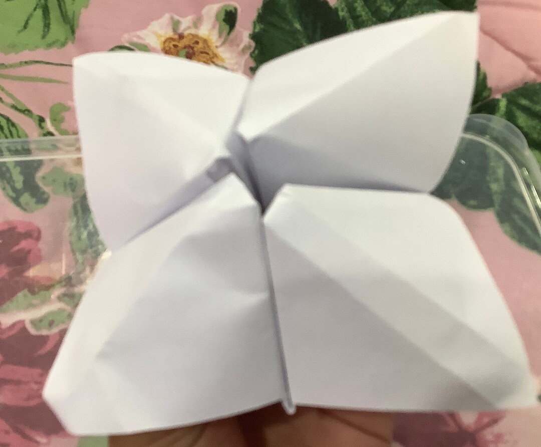 Chatter Box/ Fortune Teller - Etsy