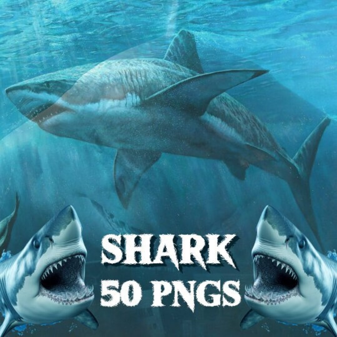 Printable Stickers, Sharks, DIGITAL DOWNLOAD, PNG, Waterslides, Decals ...