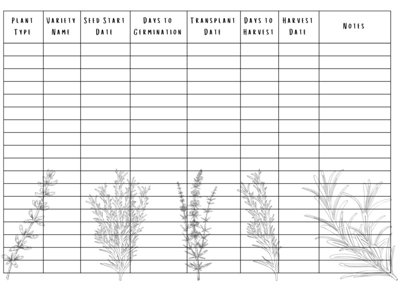 Minimalist Digital Seed Tracker, Printable Seed Sowing Sheet, Printable ...