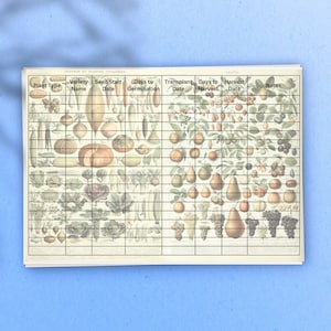 Digital Seed Tracker, Printable Seed Sowing Sheet, Editable Tracker ...