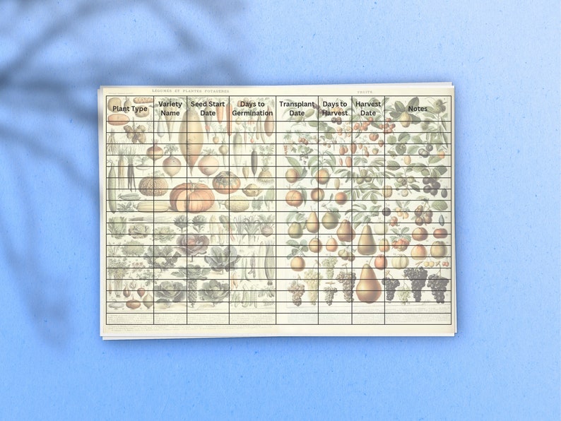 Digital Seed Tracker Printable Seed Sowing Sheet Editable Tracker Seed Sowing Tracker Garden