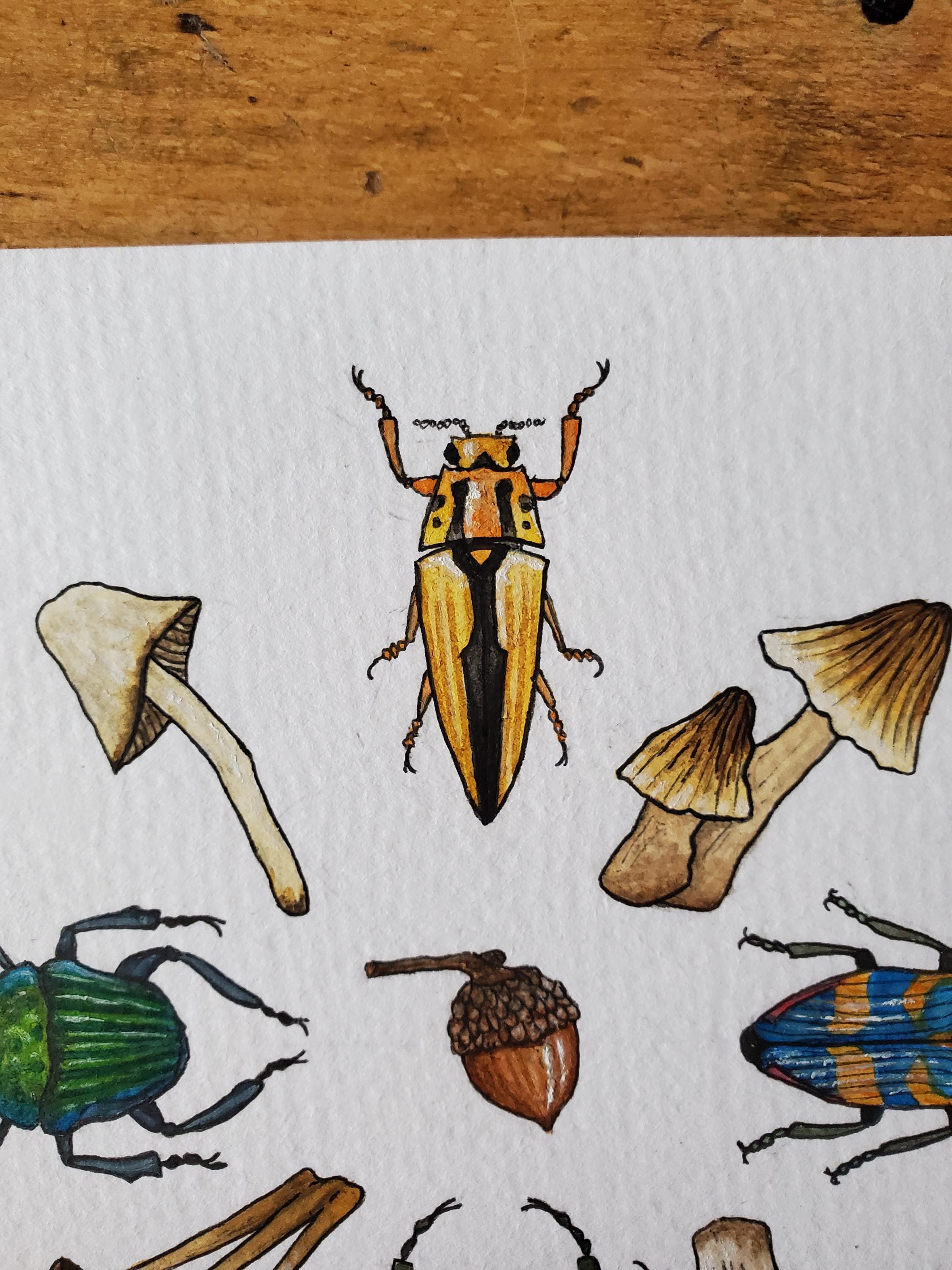 Original Bugs, Acorn and Mushroom Watercolour Illustration/ Leaves ...